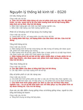 Nguyên lý thống kê kinh tế – EG20