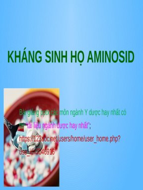 KHÁNG SINH AMINOSID ppt _ HÓA DƯỢC