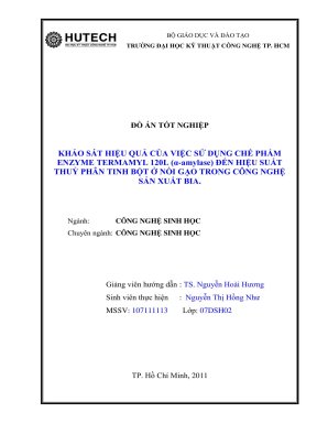Khảo sát hiệu quả của việc sử dụng chế phẩm enzyme termamyl 120l α ...