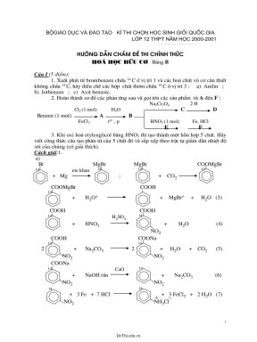 Hướng dẫn chấm đề thi chính thức Hóa học hữu cơ - Kì thi chọn học sinh giỏi quốc gia Lớp 12 THPT ...