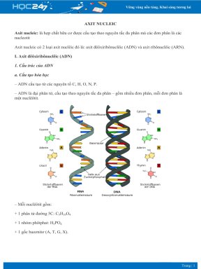 Lý thuyết Axit nucleotit - Sinh học 10