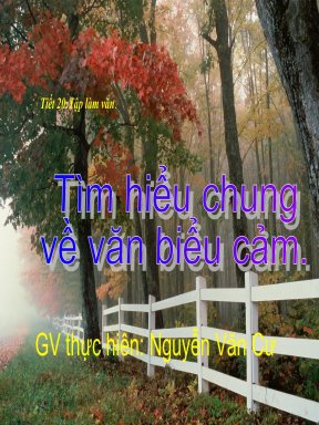 Tiet 20 Tm hieu chung ve van bieu cam