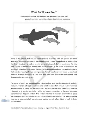 IELTS Academic Reading Sample 85 - What Do Whales Feel