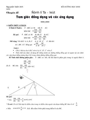 Chuyen de tam giac dong dang2012