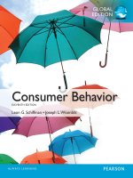 Consumer behavior 11e global edition schiffman