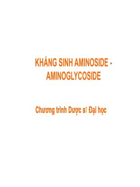 Bài giảng Aminoside Kháng sinh Aminoglycoside
