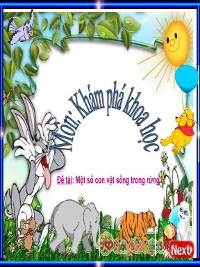 Dong vat song trong rung