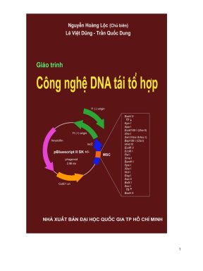 Cong nghe DNA tai to hop