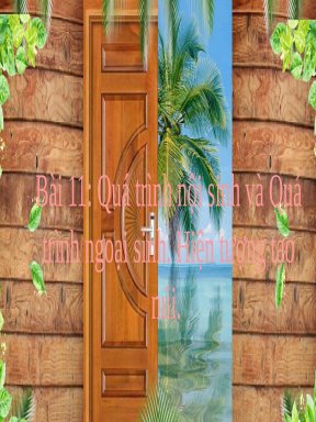 Bai 12 Tac dong cua noi luc va ngoai luc trong viec hinh thanh dia hinh ...