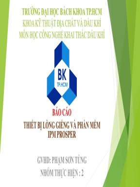 Báo cáo Kỹ thuật khai thác: Thiết bị lòng giếng và phần mềm IPM prosper ...