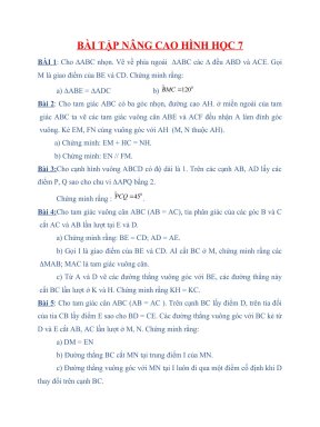 BAI TAP NANG CAO HINH HOC 7