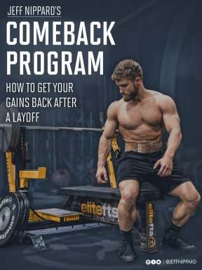 Jeff nippard s comeback bridge program