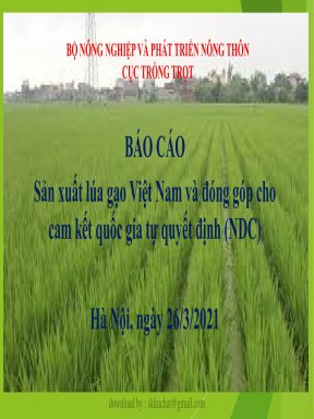 BÁO cáo sản xuất lúa gạo việt nam và đóng góp cho cam kết quốc gia tự quyết định (NDC)