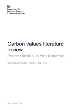 carbon-values-lit-review