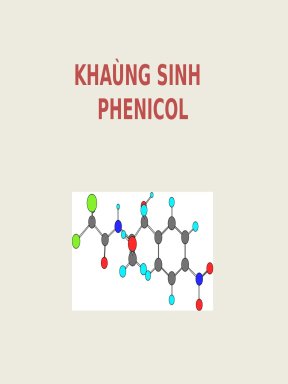 Kháng sinh Phenicol (slide hoá dược)
