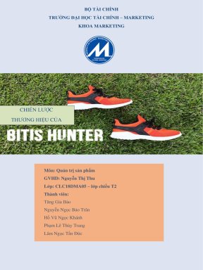 TIEU LUAN CHIẾN lược THƯƠNG HIỆU của biti’s hunter