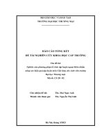 Lịch sử và xu thế phát triển môn Cầu lông trên Thế- 123docz.net