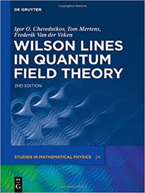 Wilson lines in quantum field theory 2nd edition