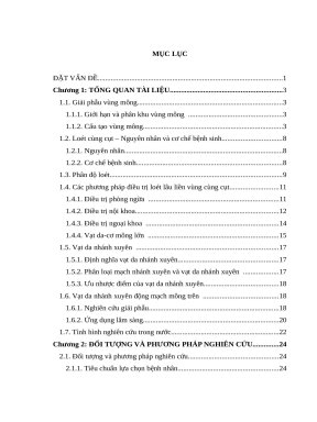 ĐÁNH GIÁ KẾT QUẢ ĐIỀU TRỊ LOÉT VÙNG CÙNG CỤT DO TỲ ĐÈ BẰNG VẠT DA NHÁNH ...