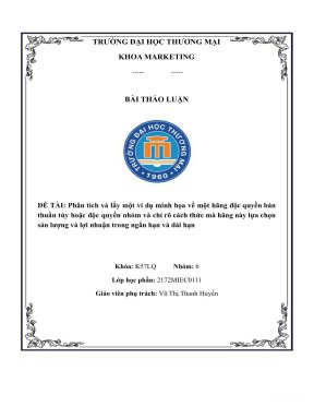 Thảo luận nhóm TMU phân tích và lấy một ví dụ minh họa về một hãng độc ...