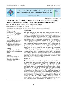 Khả năng hòa tan lân và đối kháng với nấm fusarium solani của dòng nấm ...