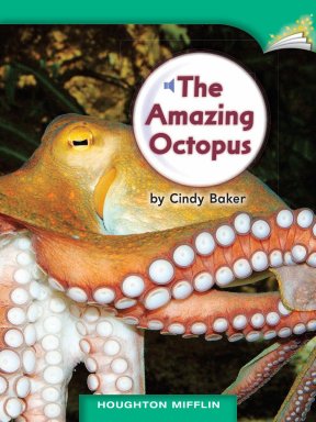 11 the amazing octopus