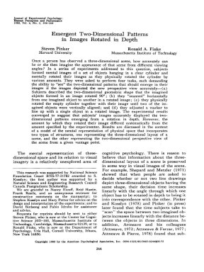 Emergent two dimensional patterns in images rotated in depth