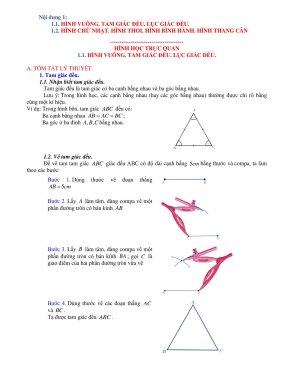 chuyen de hinh hoc truc quan theo chuong trinh sgk toan 6 moi