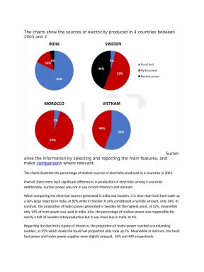 IELTS WRITING SAMPLE BAND 6.0: PART 1 PIE CHART