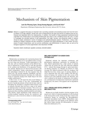 Mechanism of skin pigmentation