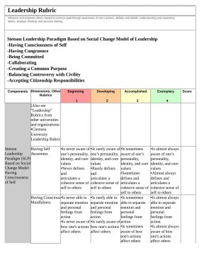 Leadership Rubric_Stetson Leadership Paradigm Based on Social Change ...
