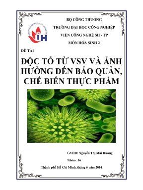 tiểu luận ĐỘC TỐ TỪ VSV VÀ ẢNH HƯỞNG ĐẾN BẢO QUẢN, CHẾ BIẾN THỰC PHẨM