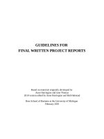 GUIDELINES FOR FINAL WRITTEN PROJECT REPORTS