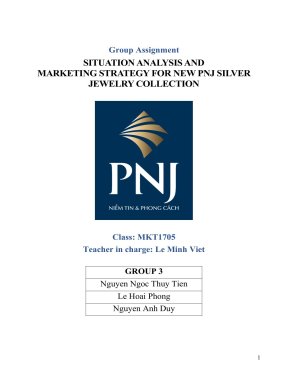 Group assignment SITUATION ANALYSIS AND MARKETING STRATEGY FOR NEW PNJ ...