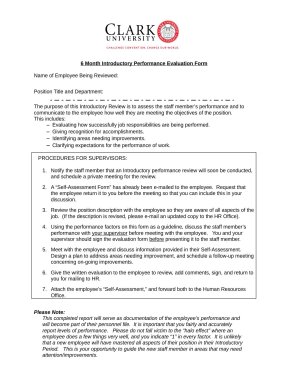 6-Month-Introductory-Performance-Evaluation-Form-1