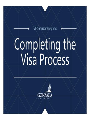 Visa Application Guide PDF