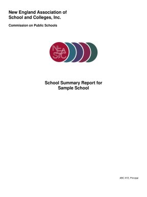 School Summary Report Sample 1