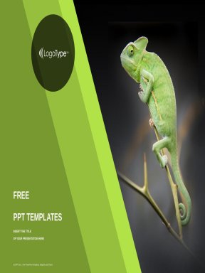 ( mẫu powerpoint ) chameleon sitting on green plant nature PPT ...