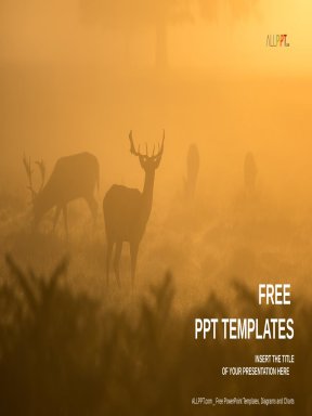 ( mẫu powerpoint ) deer in the mist powerpoint templates widescreen