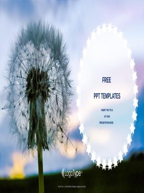 ( mẫu powerpoint ) dandelion seeds powerpoint templates widescreen