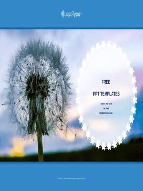 ( mẫu powerpoint ) dandelion seeds powerpoint templates standard