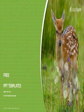 ( mẫu powerpoint ) young sika deer powerpoint templates widescreen