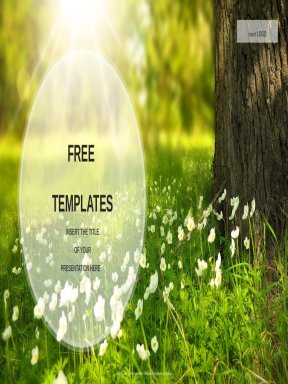 ( mẫu powerpoint ) flowers meadow nature PPT widescreen