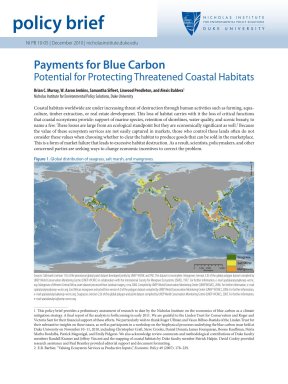 Murray. Payments for Blue Carbon_ Potential for Protecting Threatened Coastal Habitats-ilovepdf ...