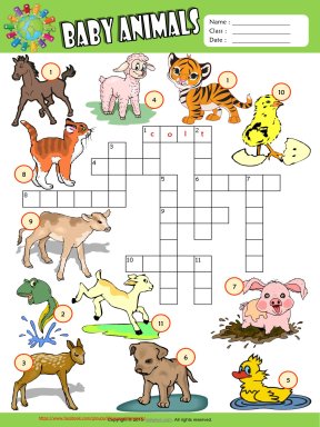 baby animals esl vocabulary crossword puzzle worksheet for kids ...