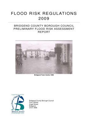 preliminary-flood-risk-assessment-report