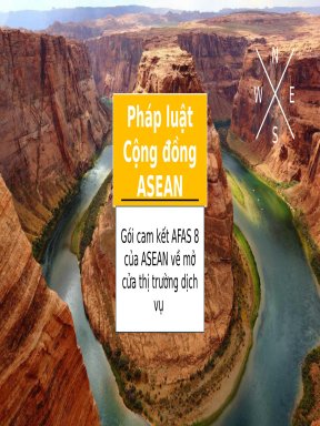 Pháp luật cộng đồng ASEAN : Gói cam kết AFAS 8 của ASEAN về mở cửa thị ...