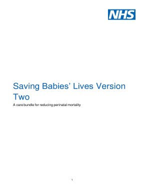 Saving-Babies-Lives-Care-Bundle-Version-Two-Updated-Final-Version