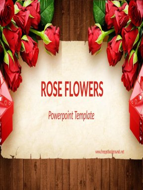 (Mẫu powerpoint) rose flower PPT template