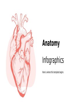 Anatomy infographics by slidego